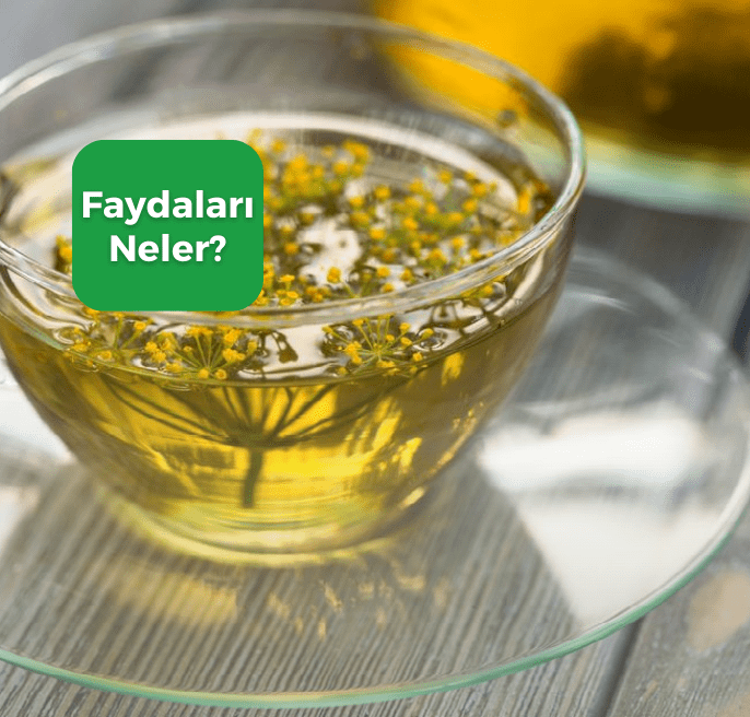 Rezene Çayı Faydaları